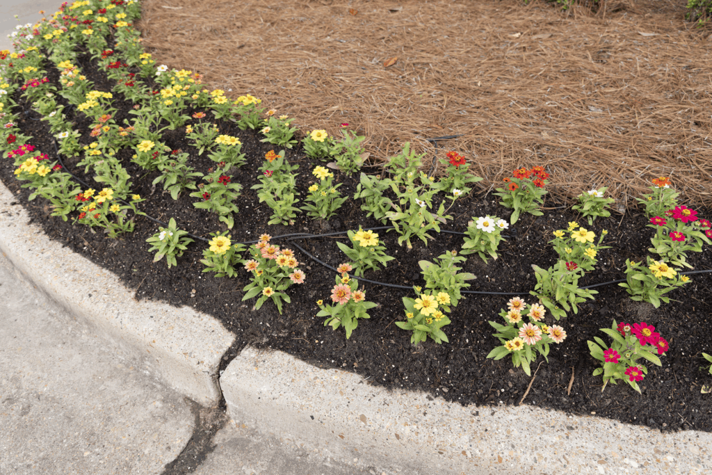 Flower Bed Tips - Matthews Landscaping
